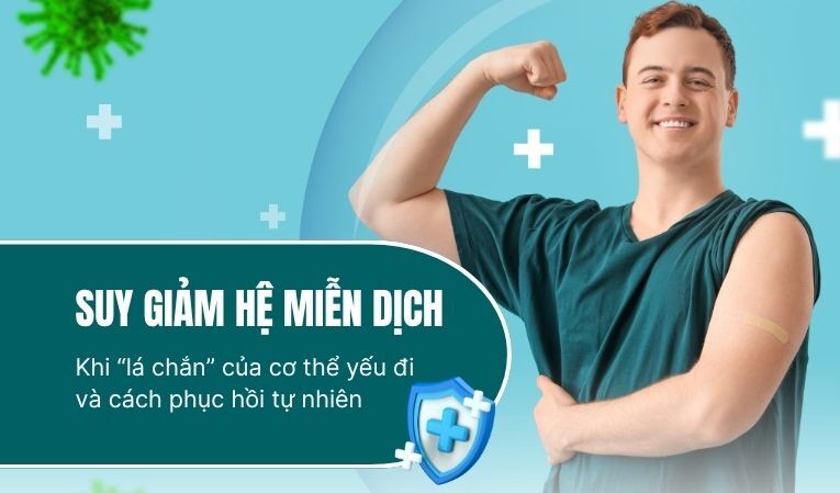 Suy giảm hệ miễn dịch – Khi “lá chắn” của cơ thể yếu đi và cách phục ...